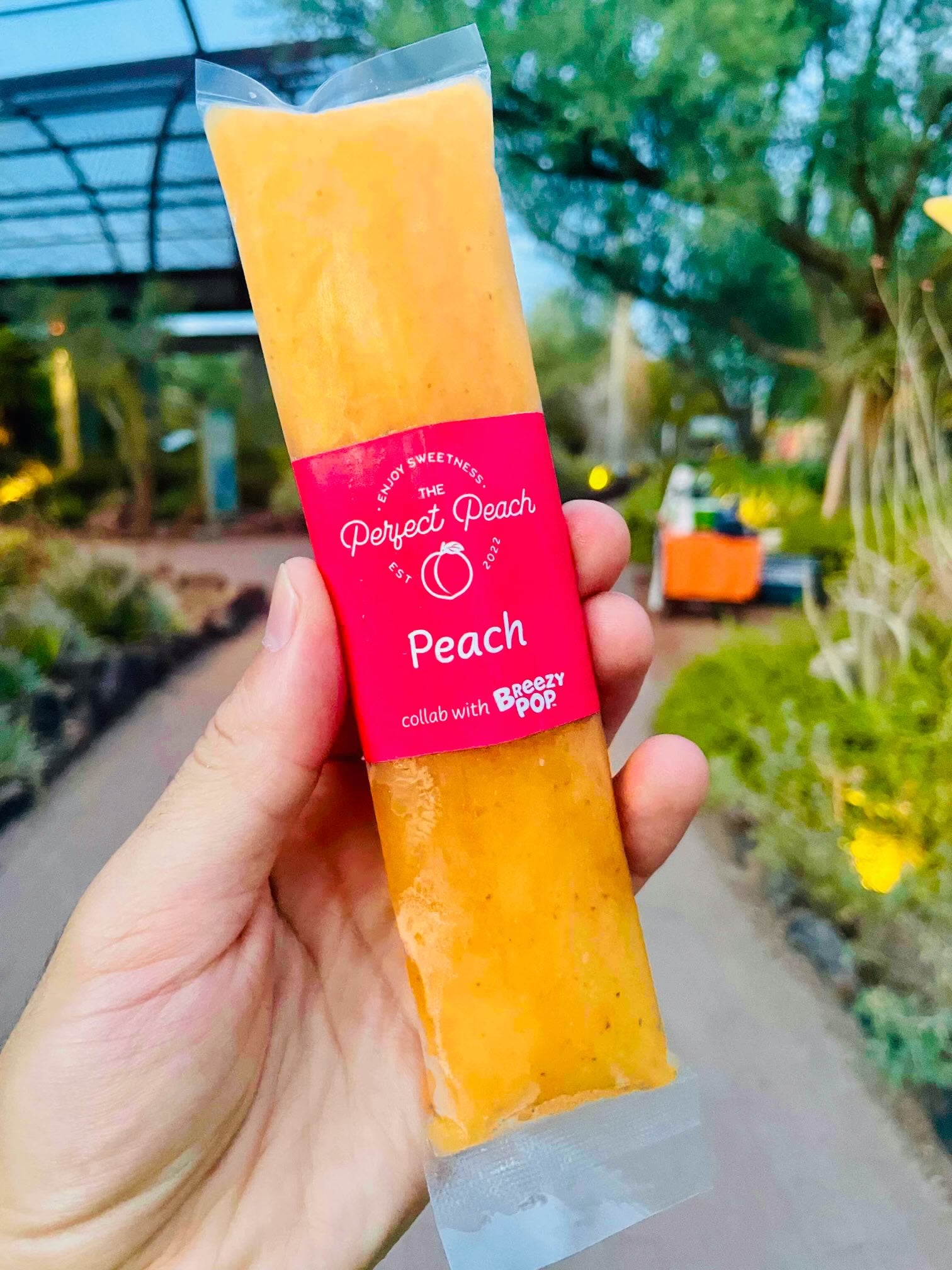 5 Peach Pops – The Perfect Peach